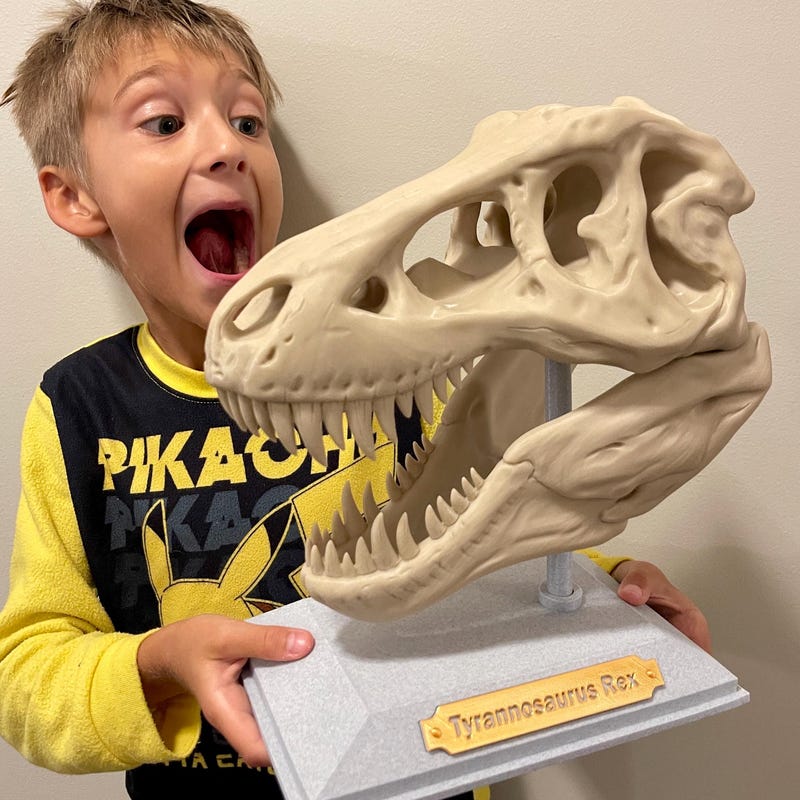 3d Replica Dinosaur Fossil - Etsy