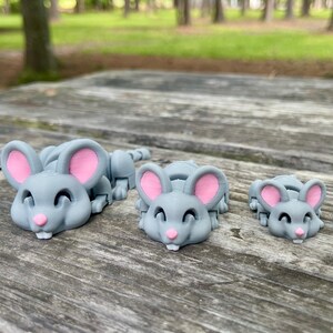 Articulated Mouse With Optional Cheese Box| 3D Printed Flexi | Fidget ...