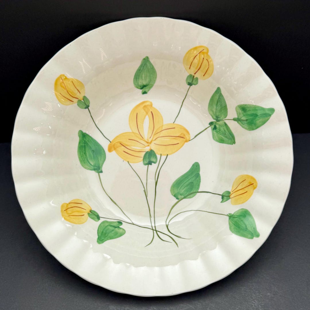 RARE 9” Bowl by Blue Ridge Southern Pottery With Handpainted Yellow ...