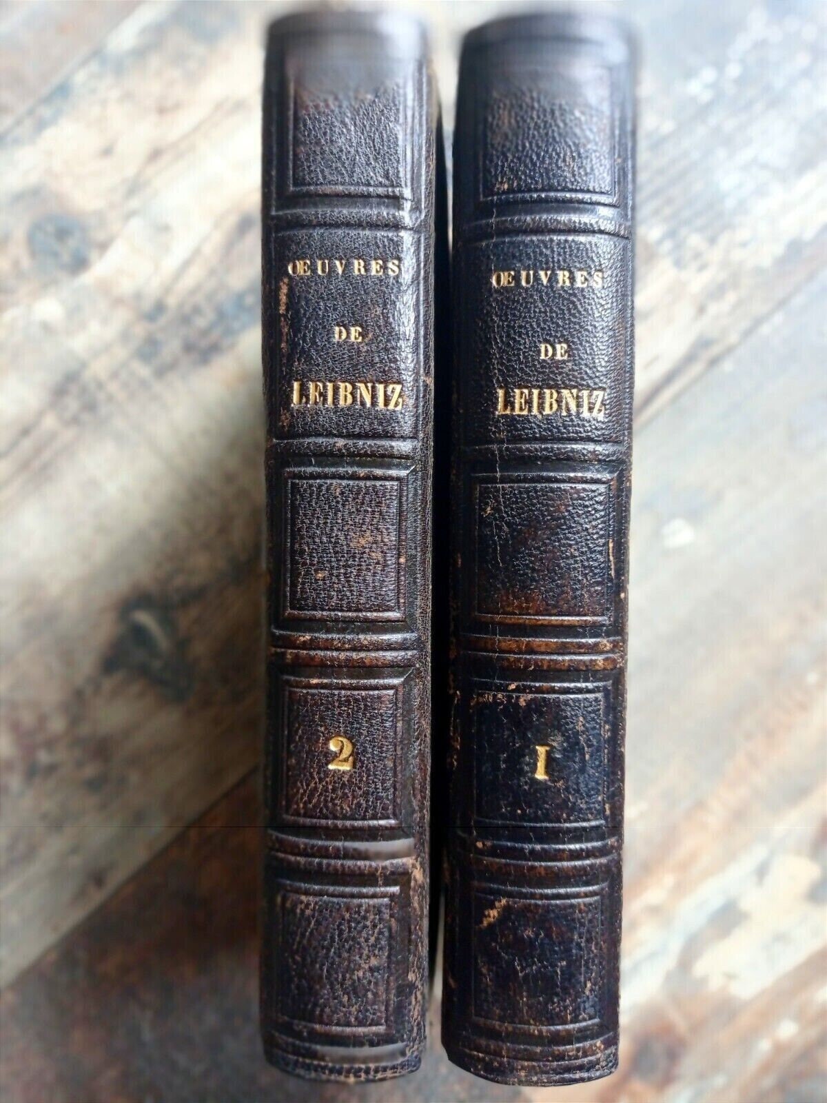 Leibniz Books