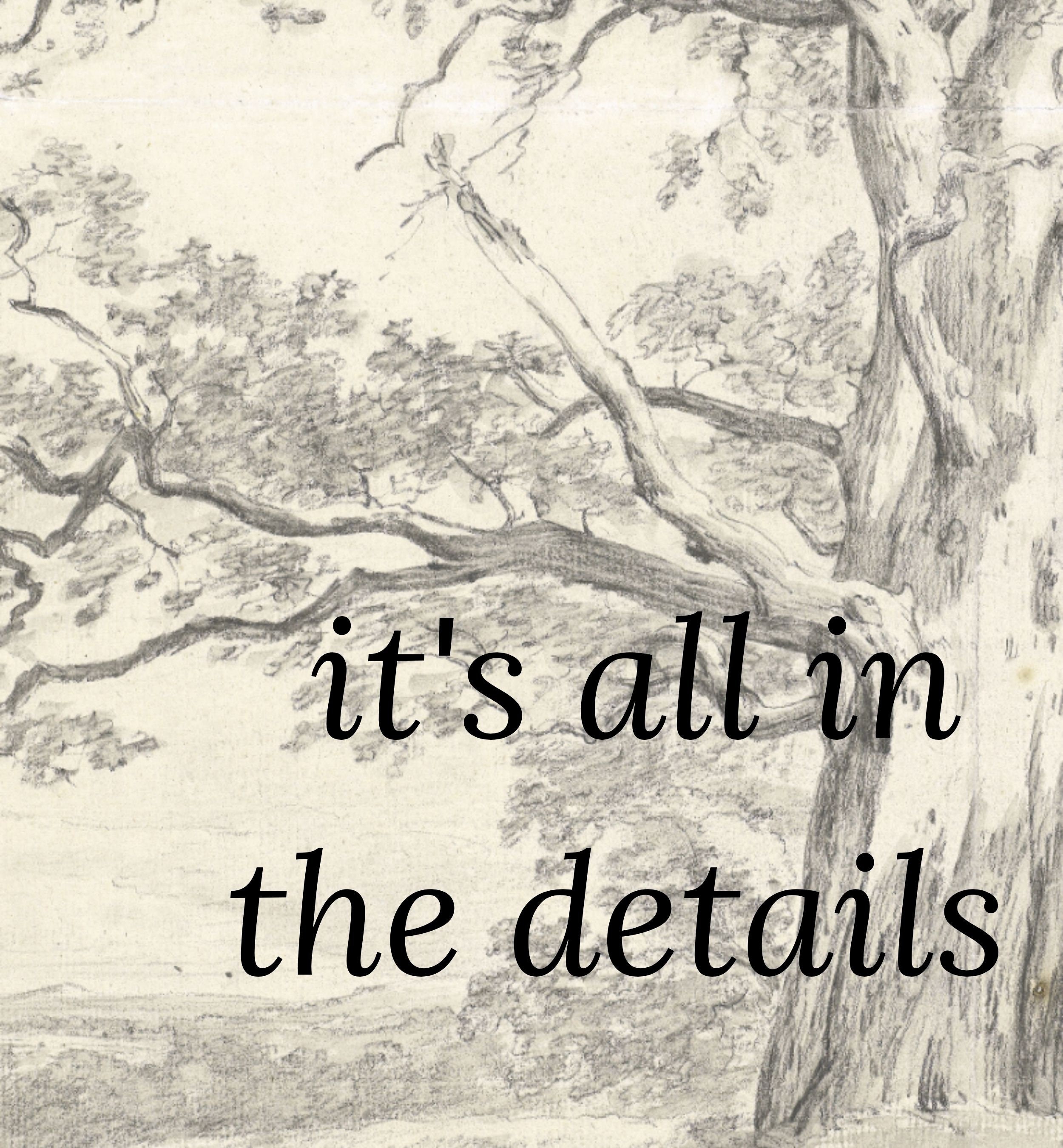 Oak Tree Pencil Sketch Antique Nature Drawing Neutral Printable Wall ...