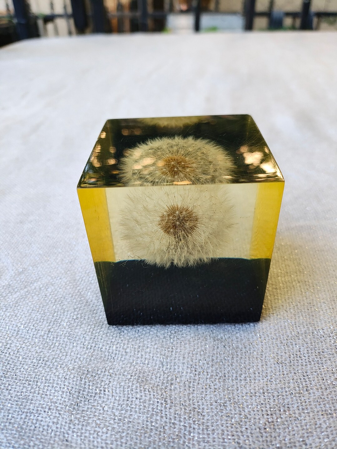 Vintage 1960s MCM Dandelion Resin Art Paperweight - Etsy