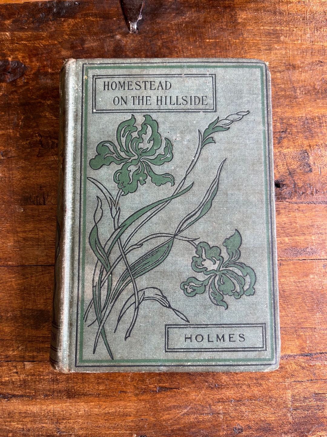 Vintage Book Homestead on the Hillside by Mary J. Holmes - Etsy