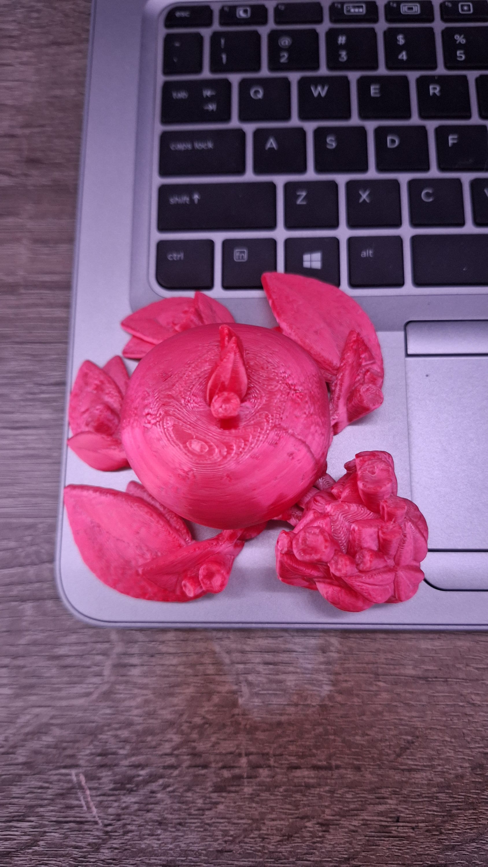 Cinderwing Apple Turtle 3D Printed Fidget Toy - Etsy