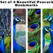 Peacock Bookmarks, Bookmarks for School, Bookmarks SVG, Bookmarks for ...