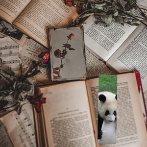 Panda Bear Bookmark, Children’s Animal Bookmark, Kids Laminated Bear ...