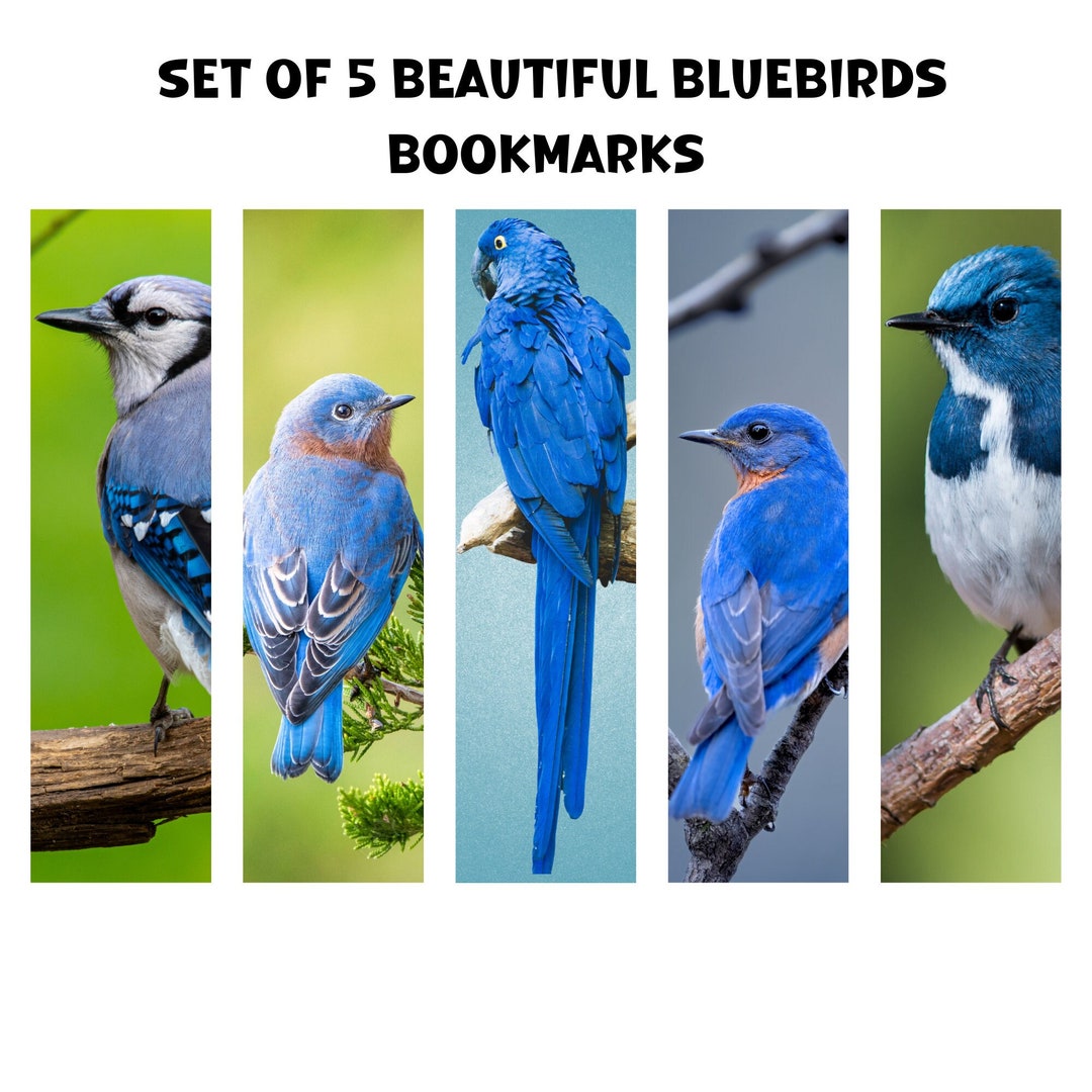 Bluebirds Bookmarks, Cute Bird Bookmarks, Handmade Bird Bookmark ...