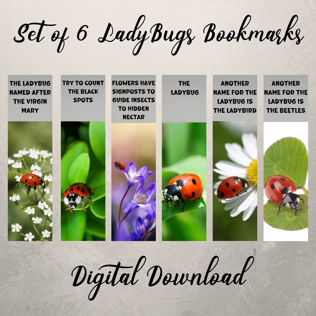 Ladybug Bookmarks Bookmarks for School Bookmarks SVG - Etsy