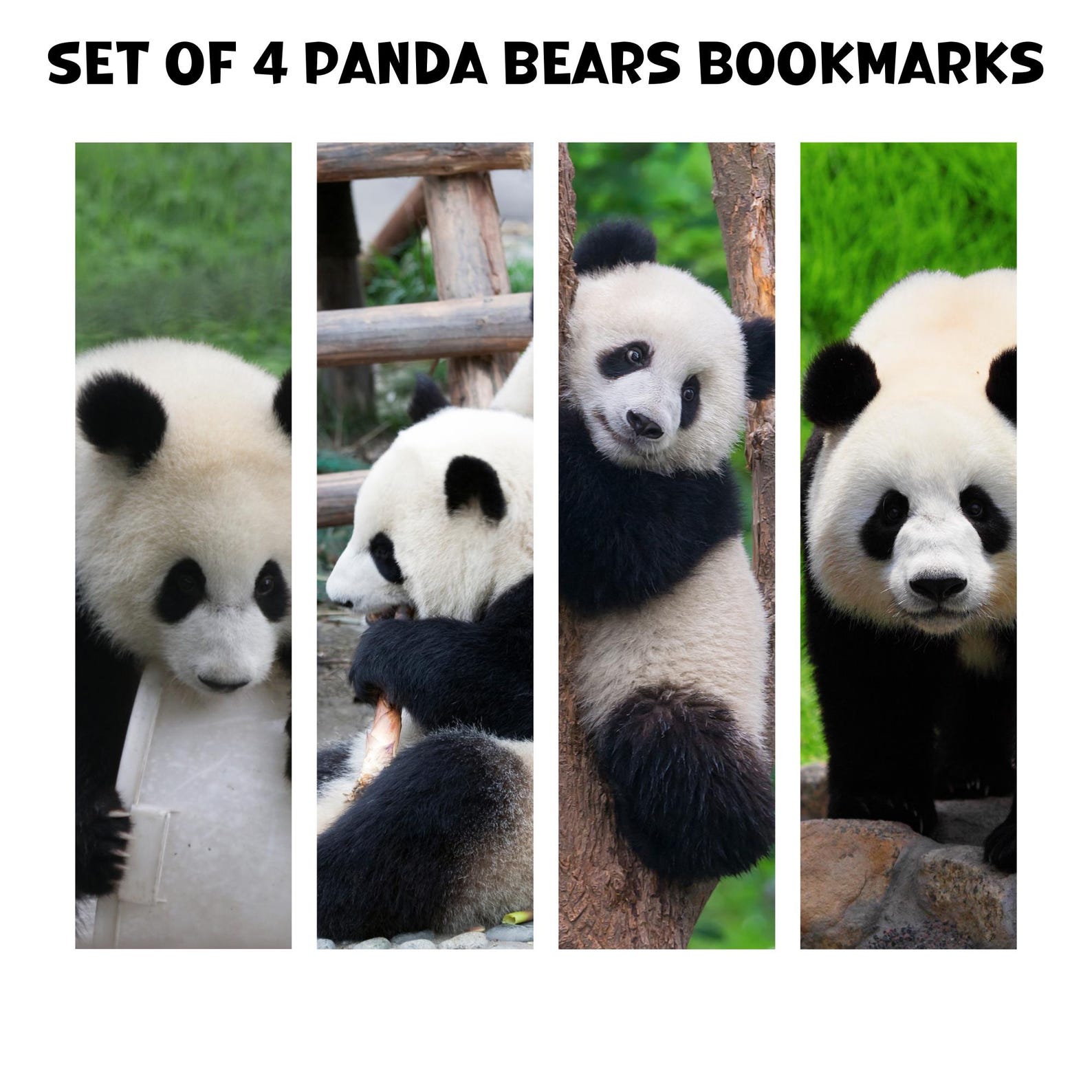 Panda Bear Bookmark, Children’s Animal Bookmark, Kids Laminated Bear ...