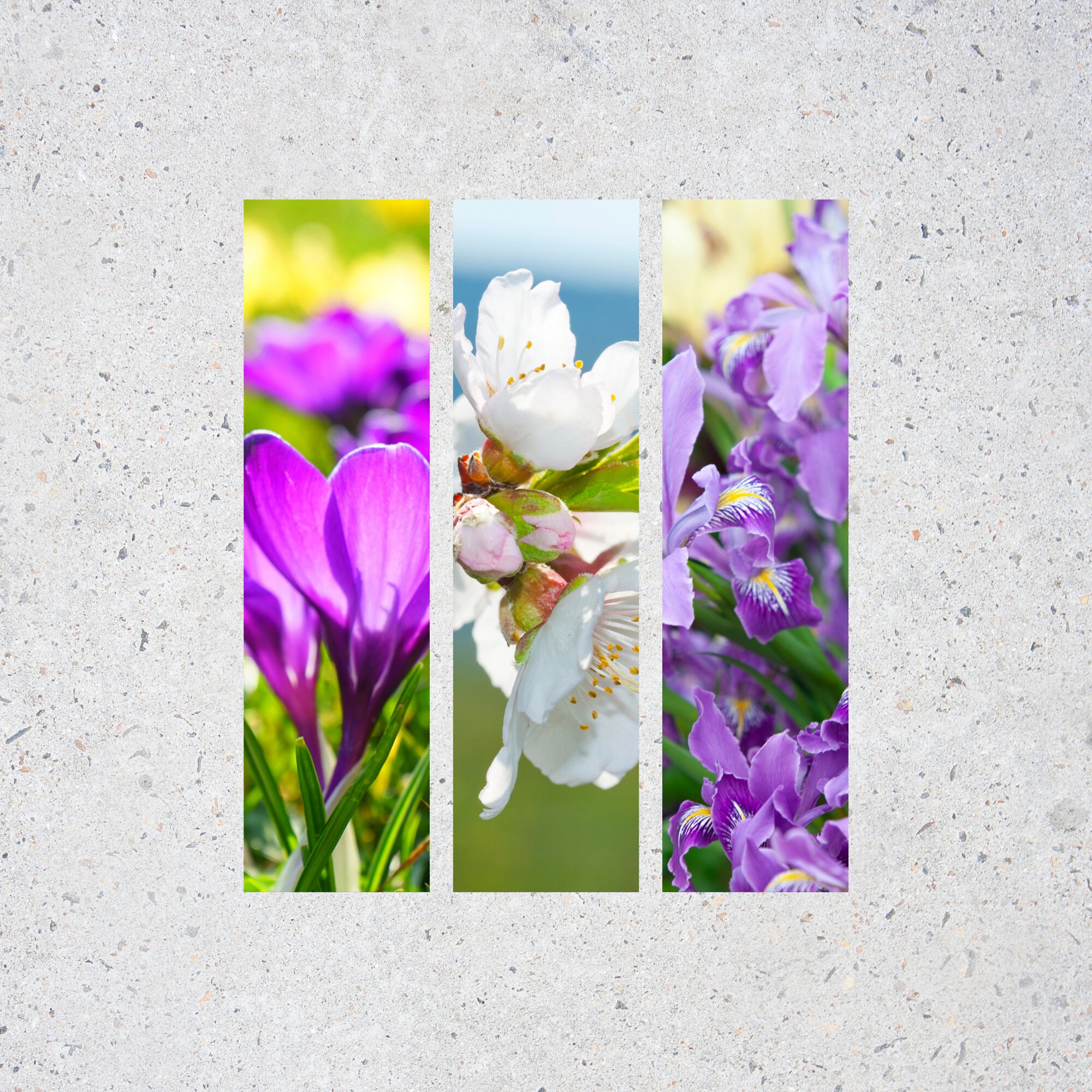 Printable Bible Verse Bookmarks, Floral Bookmarks, Christian, Flowers ...