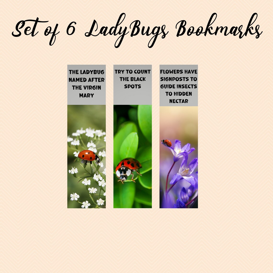 Ladybug Bookmarks, Bookmarks for School, Bookmarks SVG, Bookmarks for ...