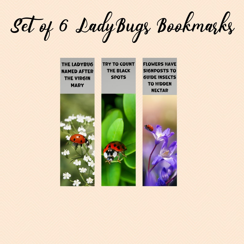 Ladybug Bookmarks, Bookmarks for School, Bookmarks SVG, Bookmarks for ...