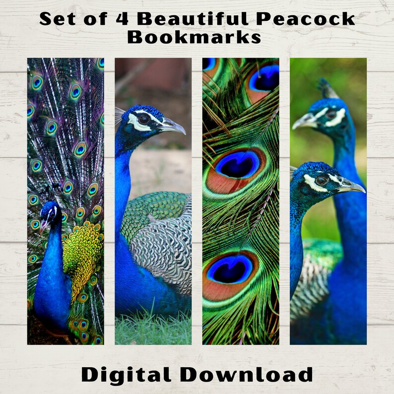 Peacock Bookmarks Bookmarks for School Bookmarks SVG - Etsy