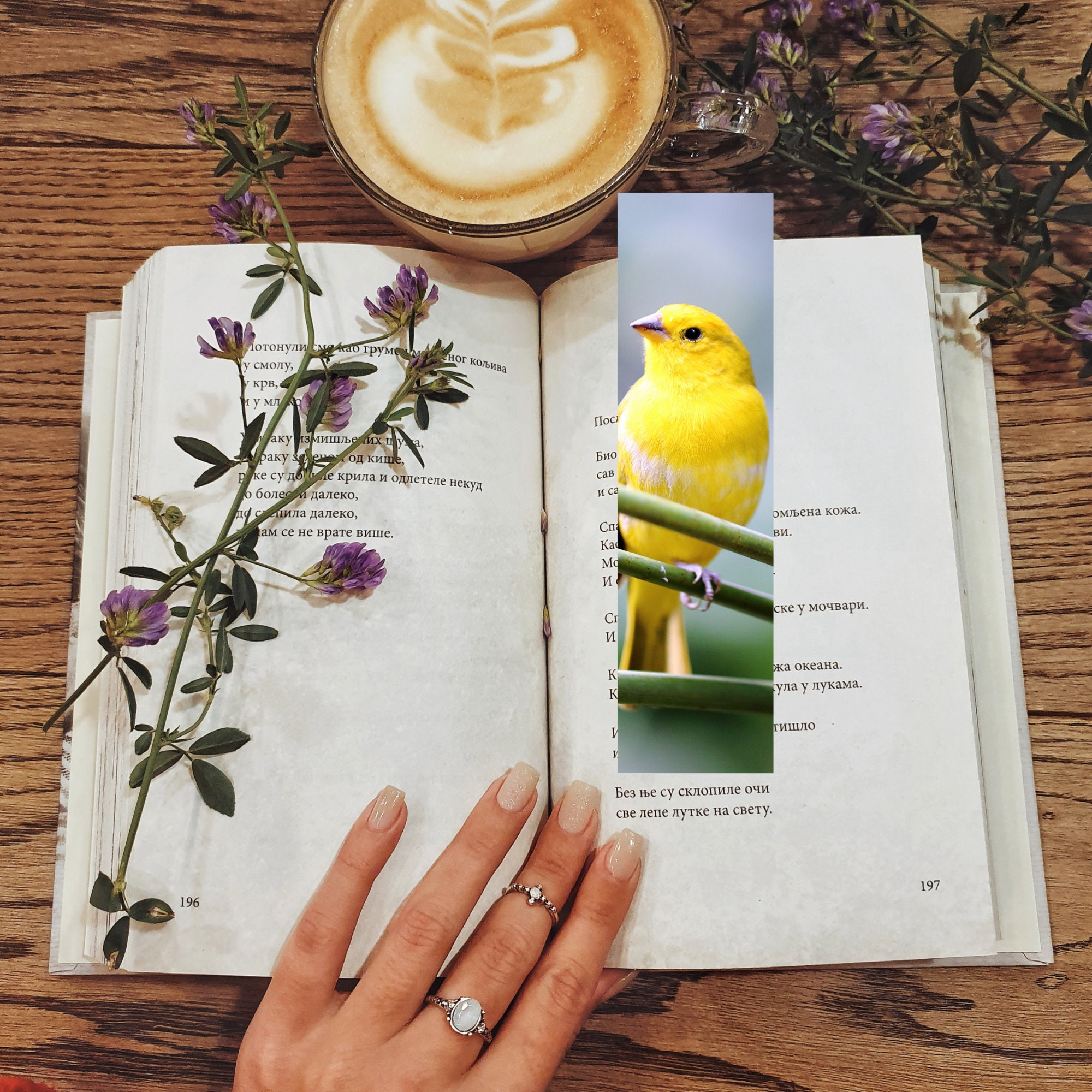 Twitty Bird Bookmark, Cute Bird Bookmarks, Handmade Bird Bookmark ...