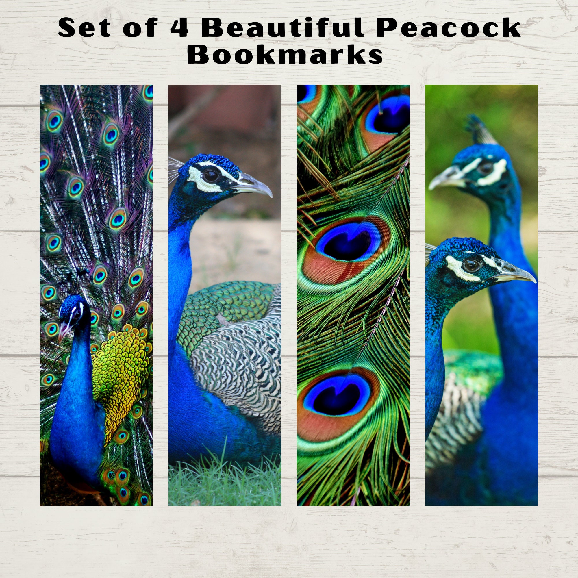 Peacock Bookmarks, Bookmarks for School, Bookmarks SVG, Bookmarks for ...