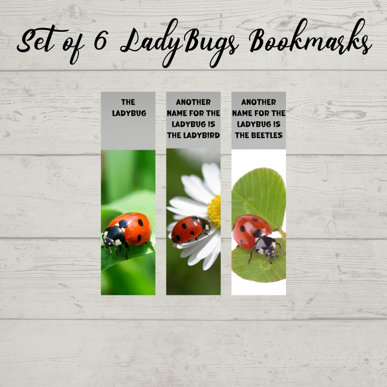 Ladybug Bookmarks, Bookmarks for School, Bookmarks SVG, Bookmarks for ...