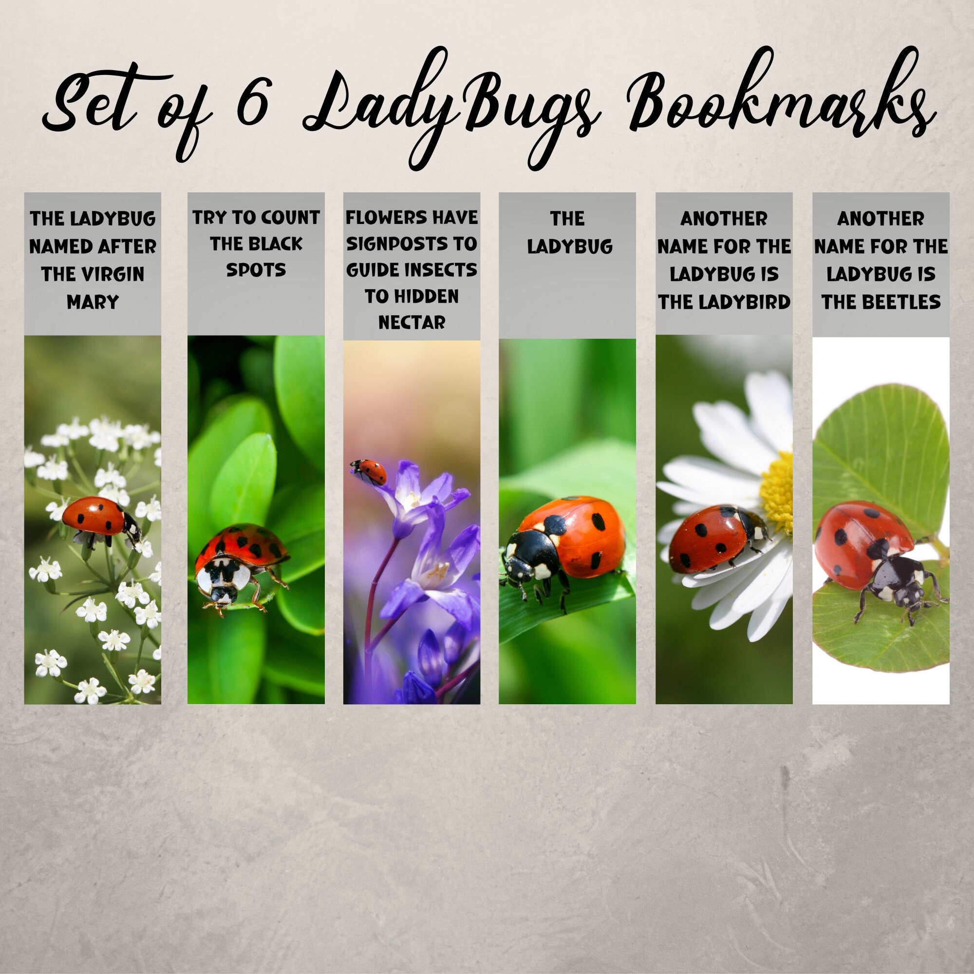 Ladybug Bookmarks, Bookmarks for School, Bookmarks SVG, Bookmarks for ...