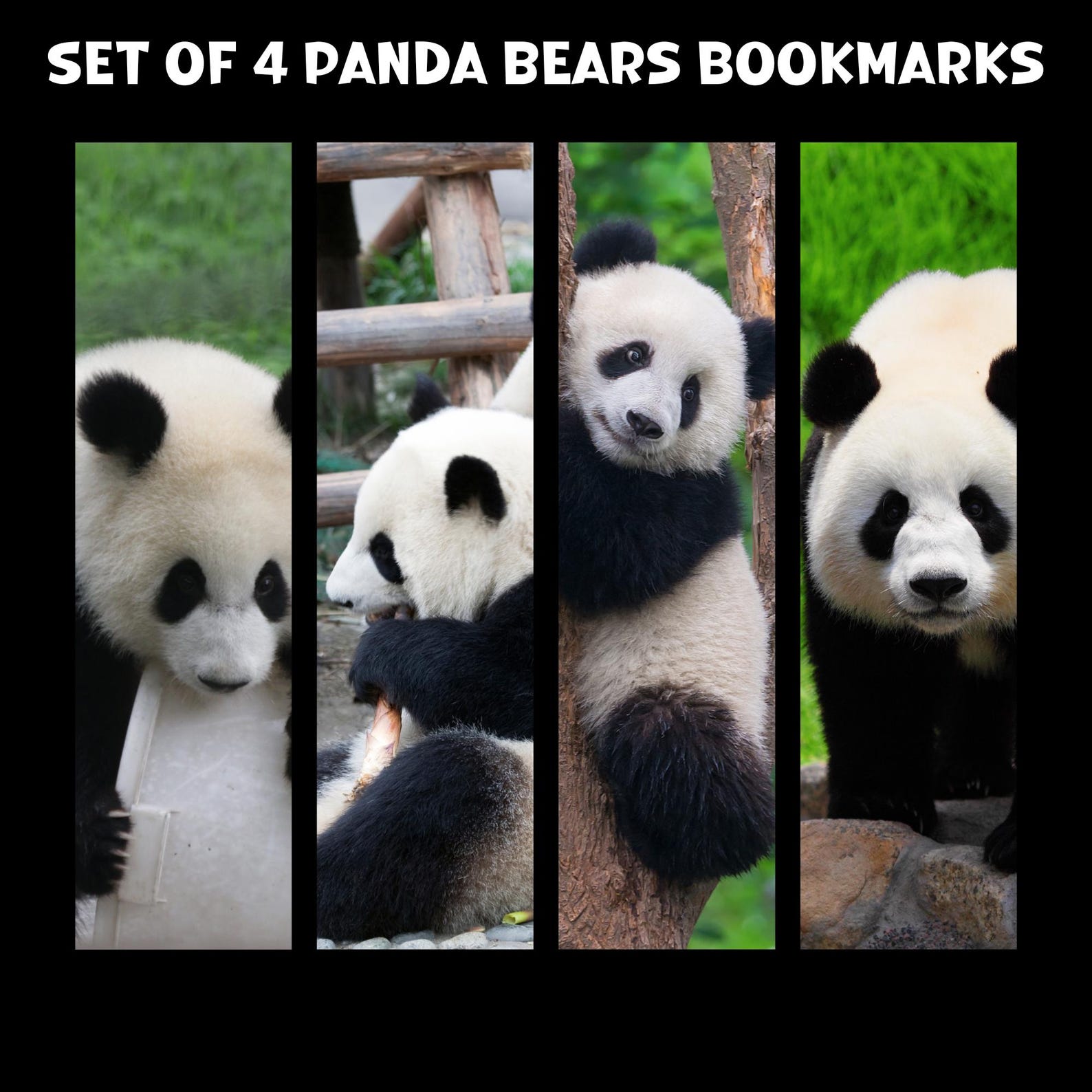 Panda Bear Bookmark, Children’s Animal Bookmark, Kids Laminated Bear ...