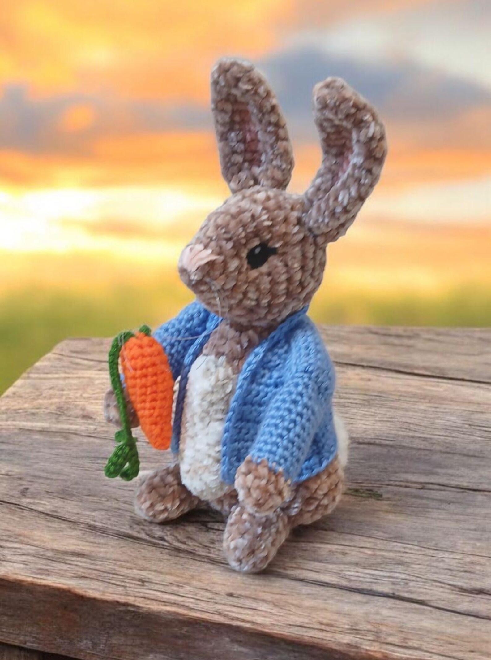 Peter Rabbit Plushie - Etsy