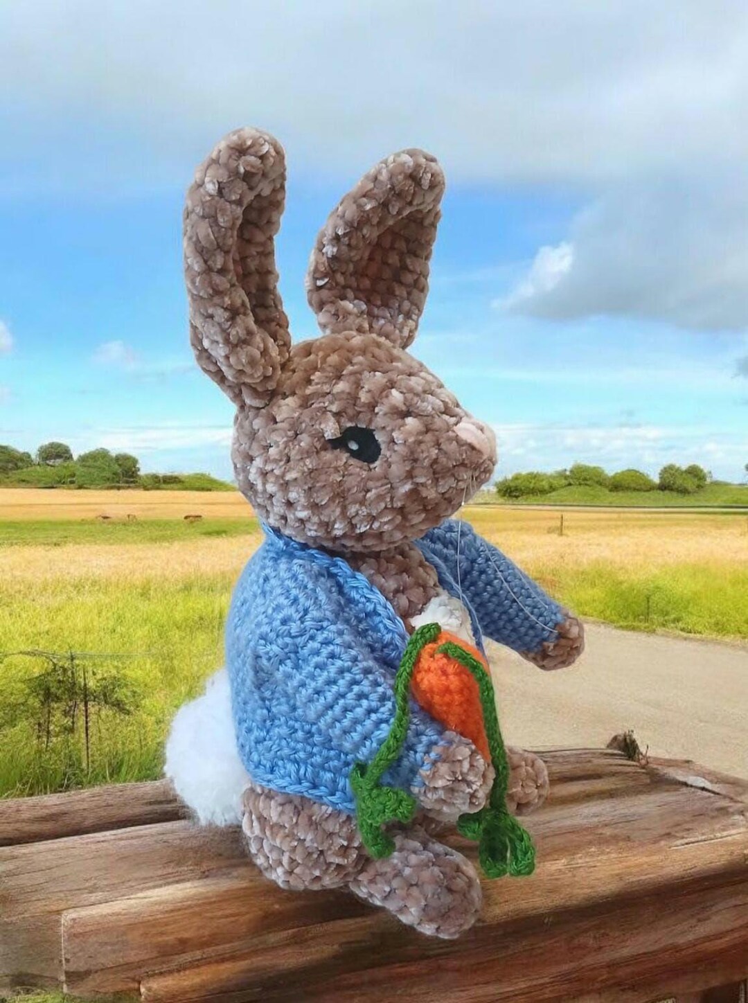 Peter Rabbit Plushie - Etsy