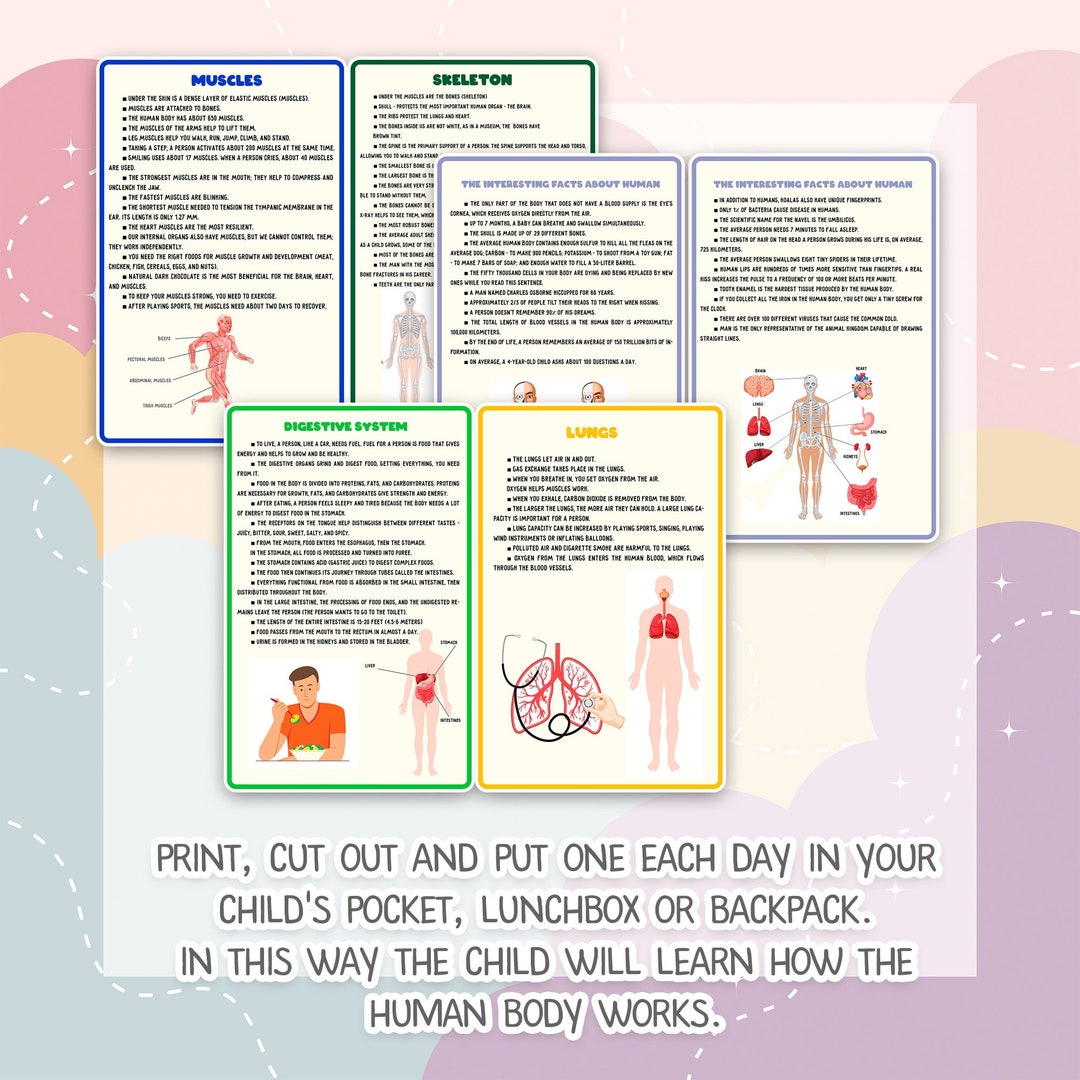 Human Anatomy Flashcards Body Anatomy for Kids Printable Anatomy ...