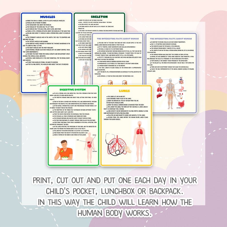 Human Anatomy Flashcard Body Anatomy for Kids , Printable Anatomy ...