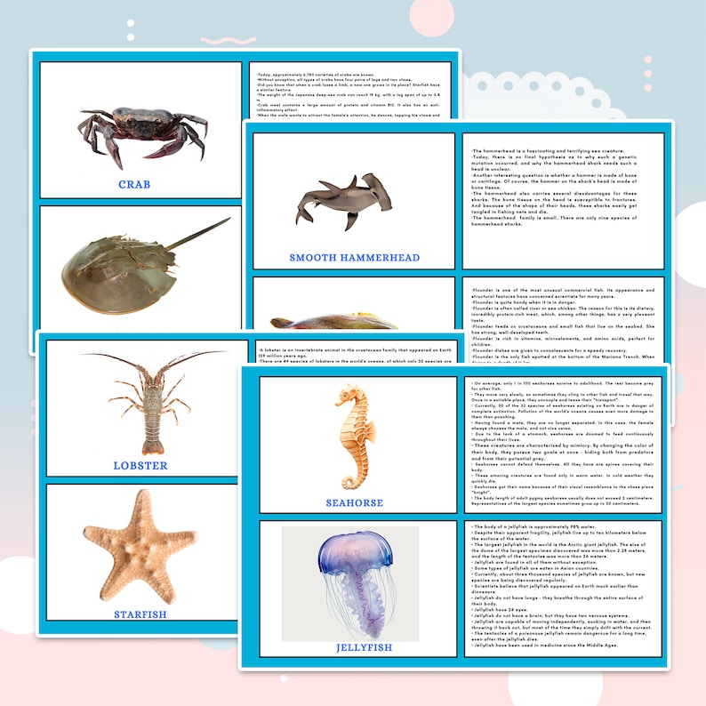 Ocean Animals Flashcards Worksheets , Printable Daycare Homeschooling ...