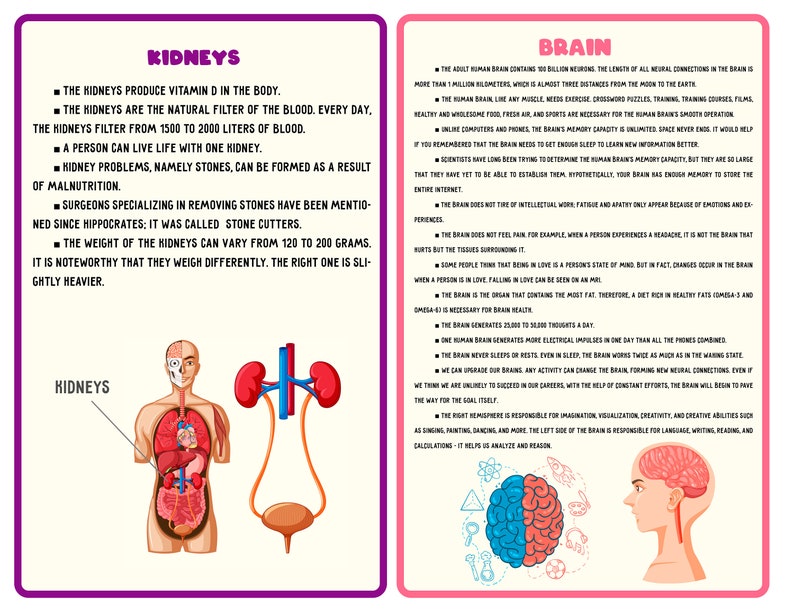 Anatomy Flashcard for Kids , Human Body Cards , Printable Preschool ...