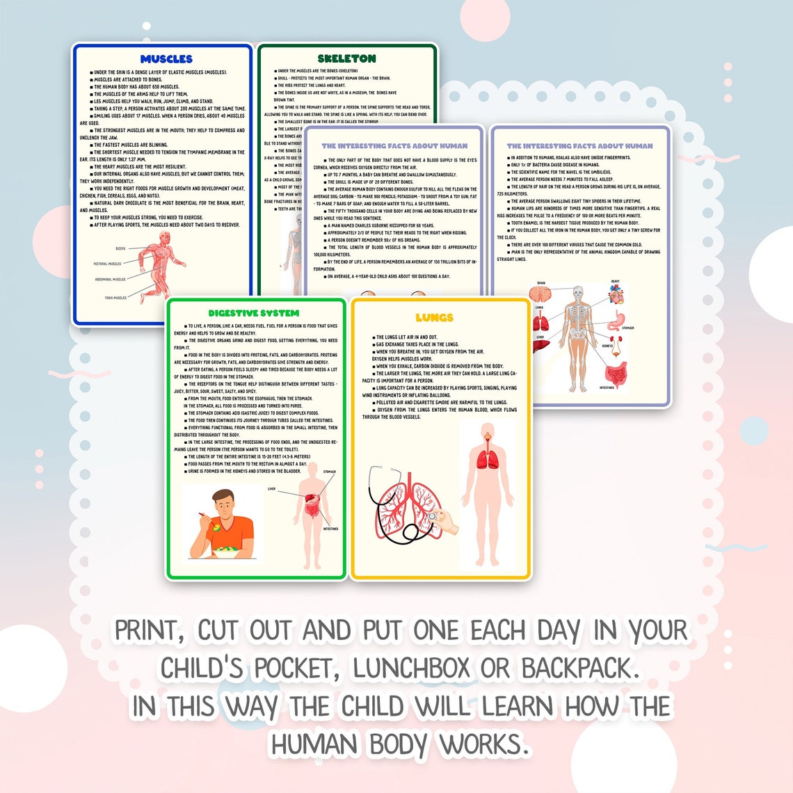 Anatomy Flashcard for Kids , Human Body Cards , Printable Preschool ...