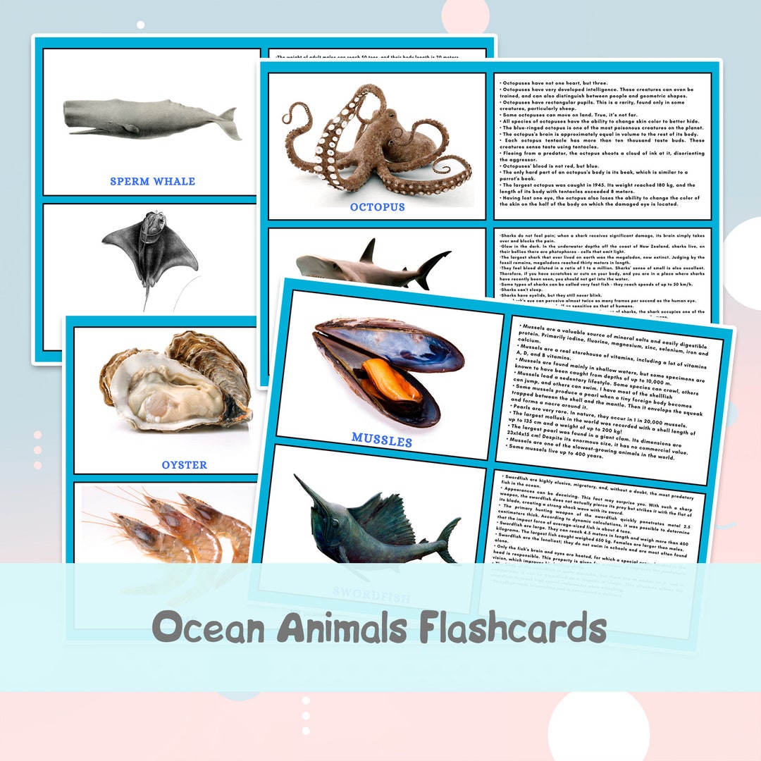 Ocean Animals Flashcards , Atlanric Animals Flashcards Worksheets ...