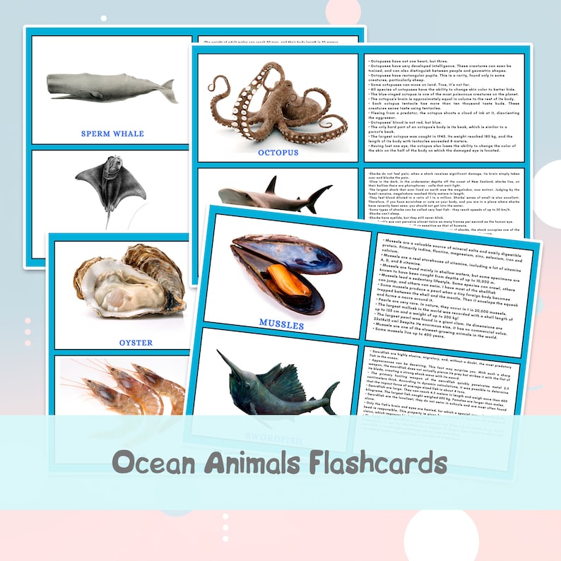 Ocean Animals Flashcards Worksheets , Printable Daycare Homeschooling ...