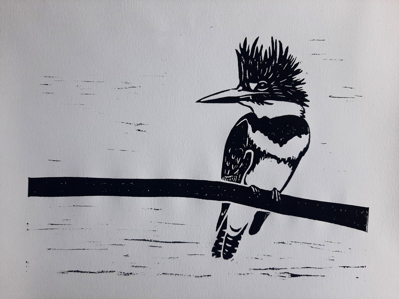 Kingfisher Linocut Print | Songbird Linocut | Bird Art | North Carolina ...