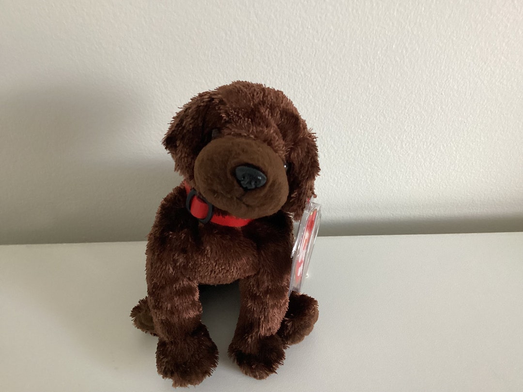 Ty Beanie Baby muddy the Chocolate Labrador Puppy Dog7in.excellent ...
