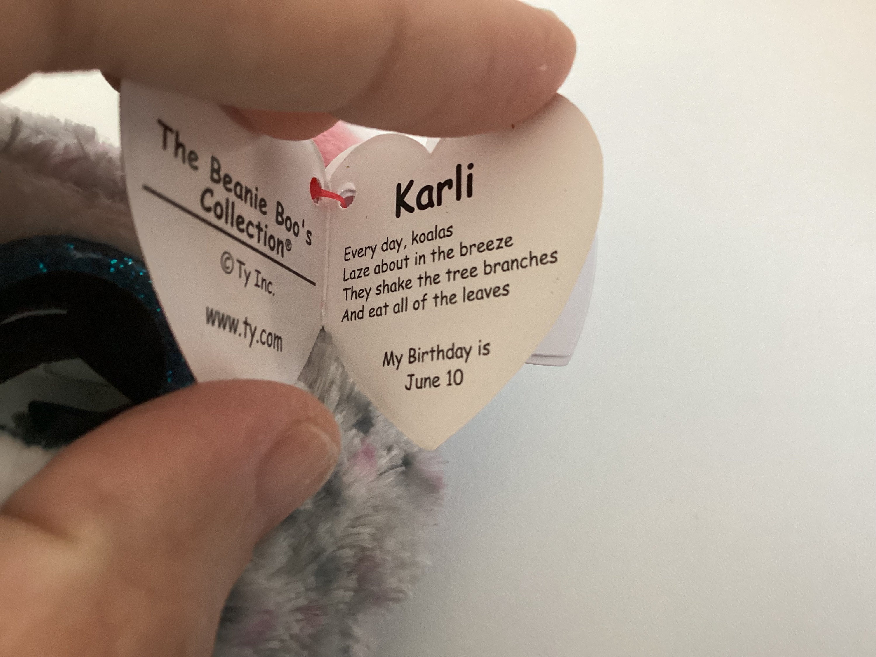 Ty Beanie Boo ‘karli’ the Grey Koala….(6in)…mwmt - Etsy