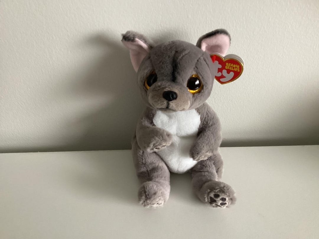 Ty Beanie Bellies ‘wilfred’ the Grey Puppy Dog…(8in)…immaculate ...