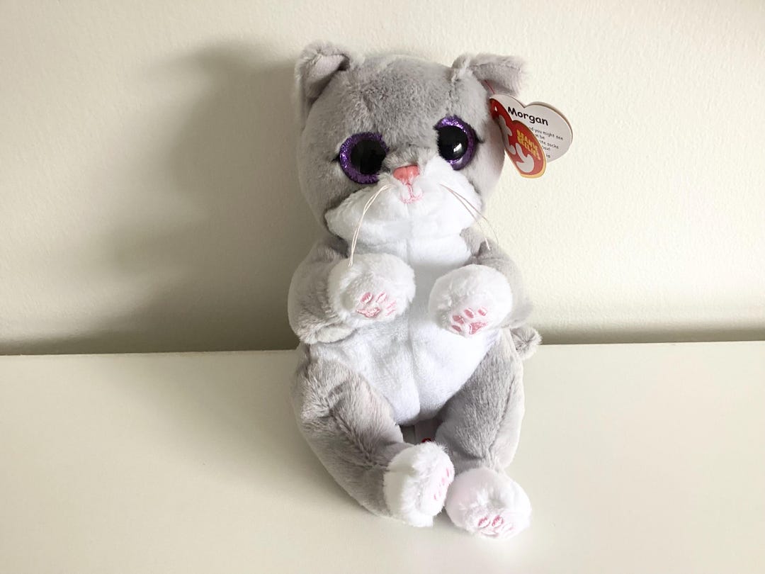 Ty Beanie Bellies ‘morgan’ the Grey and White Kitty Cat..(8in ...