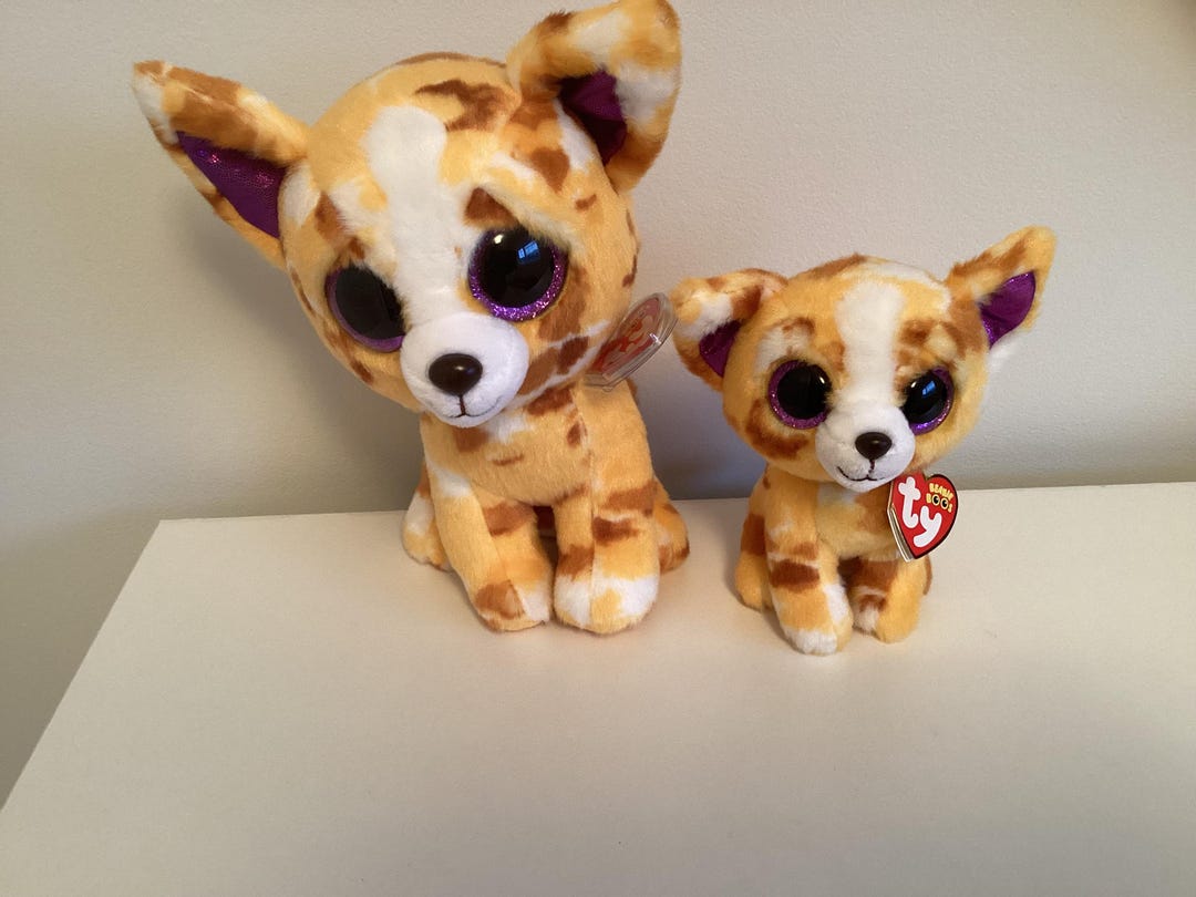 Ty Beanie Boos ‘pablo’ the Yellow and Brown Chihuahua Puppy Dogs.(6in ...