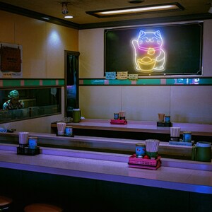 Lucky Cat Neon Sign for Bar, Home, Bedroom, Cafe, Restaurant, Office ...