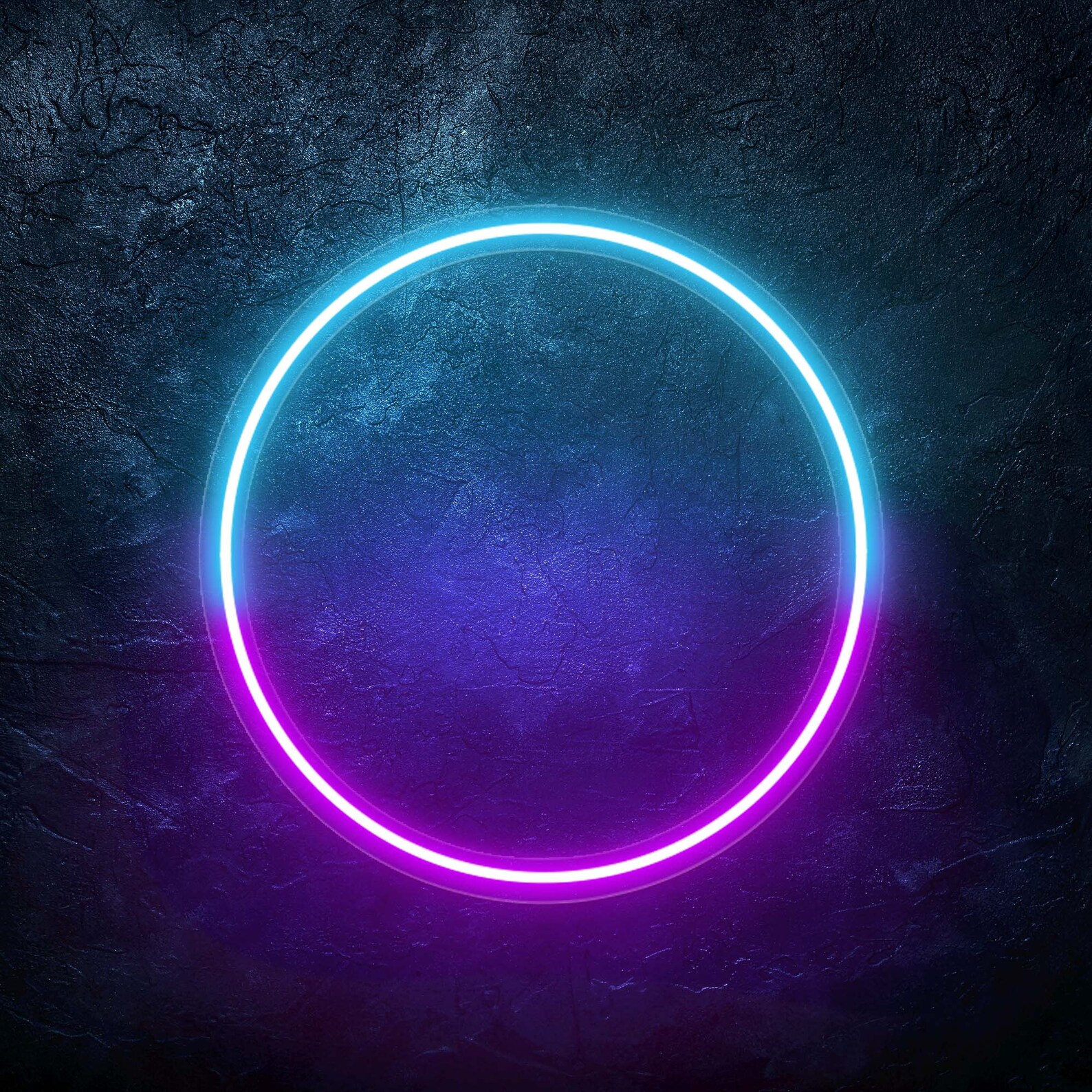 Circle LED Neon Sign, Zen Circle Neon Sign, Mixed-color Japanese Enso ...