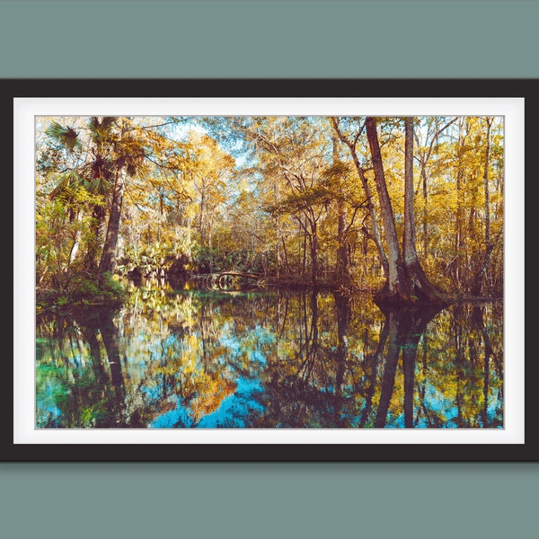 Silver Springs - Etsy
