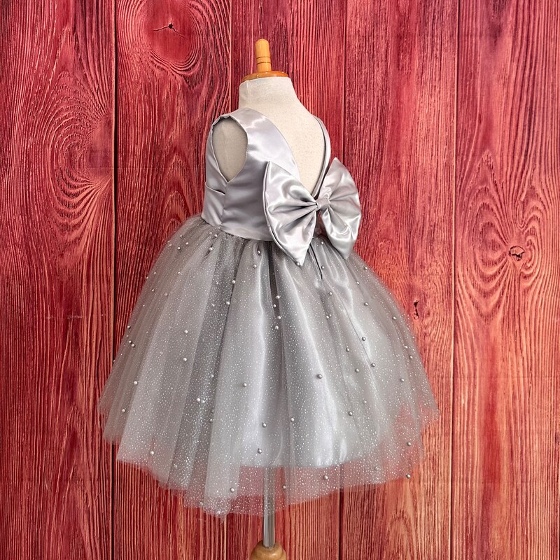 Silver Tutu Dress - Etsy