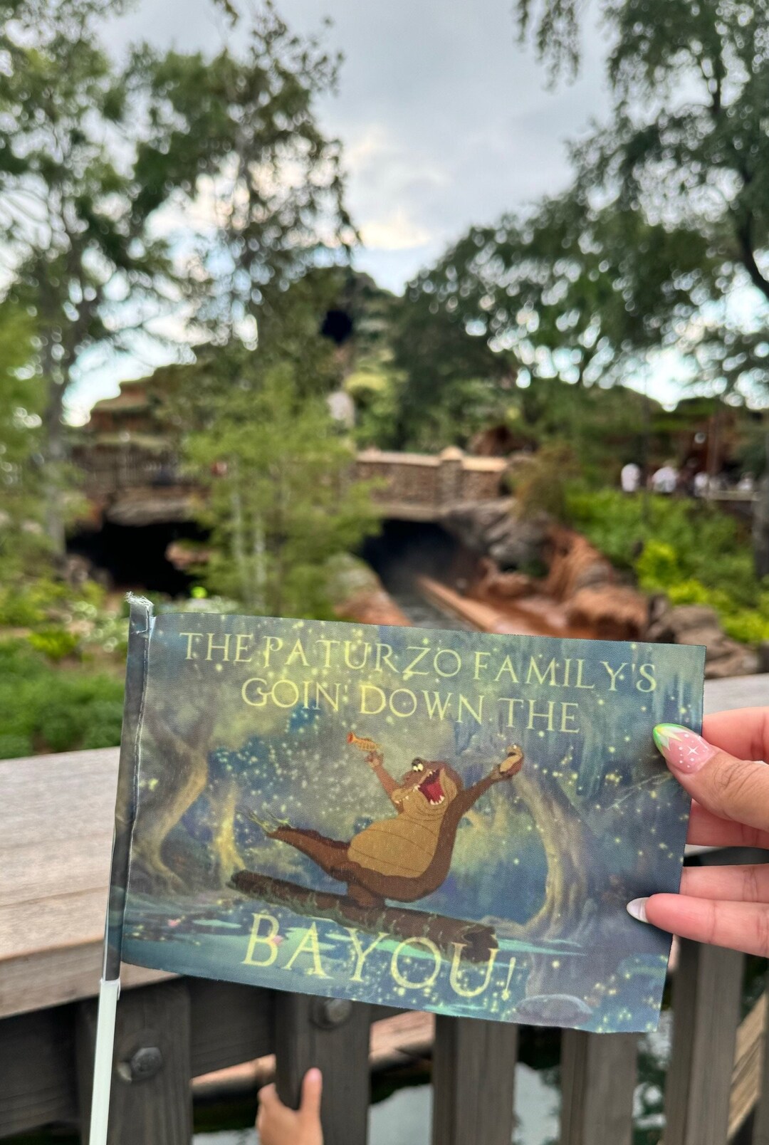 Disney Stroller Tag, Princess, Tiana, Princess and the Frog, Wheelchair ...