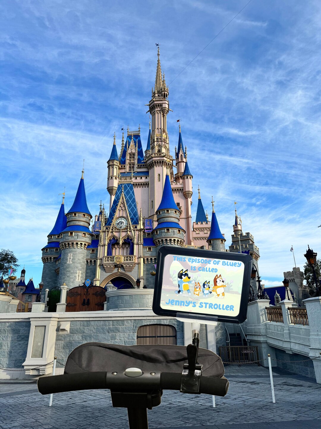 Disney Stroller Tag, Stroller Flag, Bluey, Wheelchair Tag, Stroller ...