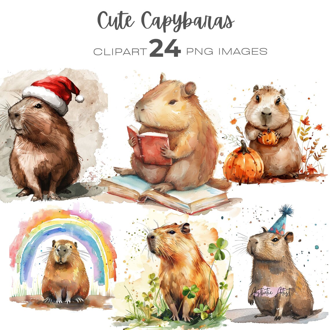 Cute Capybara Clipart, Capy Png, Animal Clip Art, Wildlife Clipart - Etsy