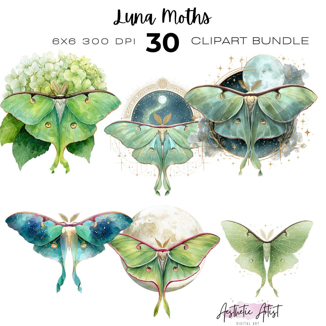 Watercolour Luna Moth Clipart Bundle, Summer, Butterfly Clipart, Insect ...
