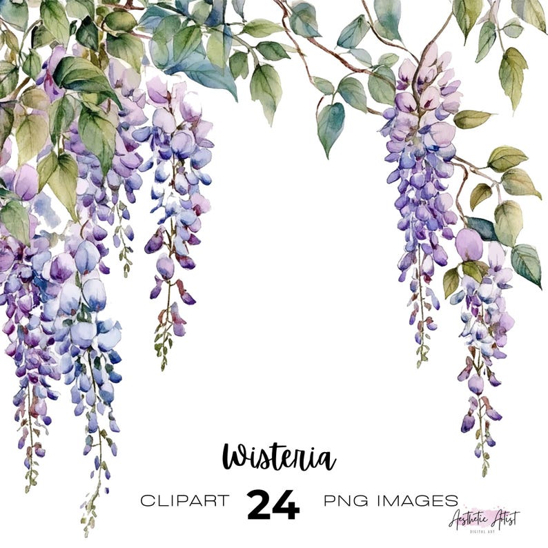 Watercolour Cascading Wisteria Clipart Bundle, Wedding, Wisteria Wreath ...