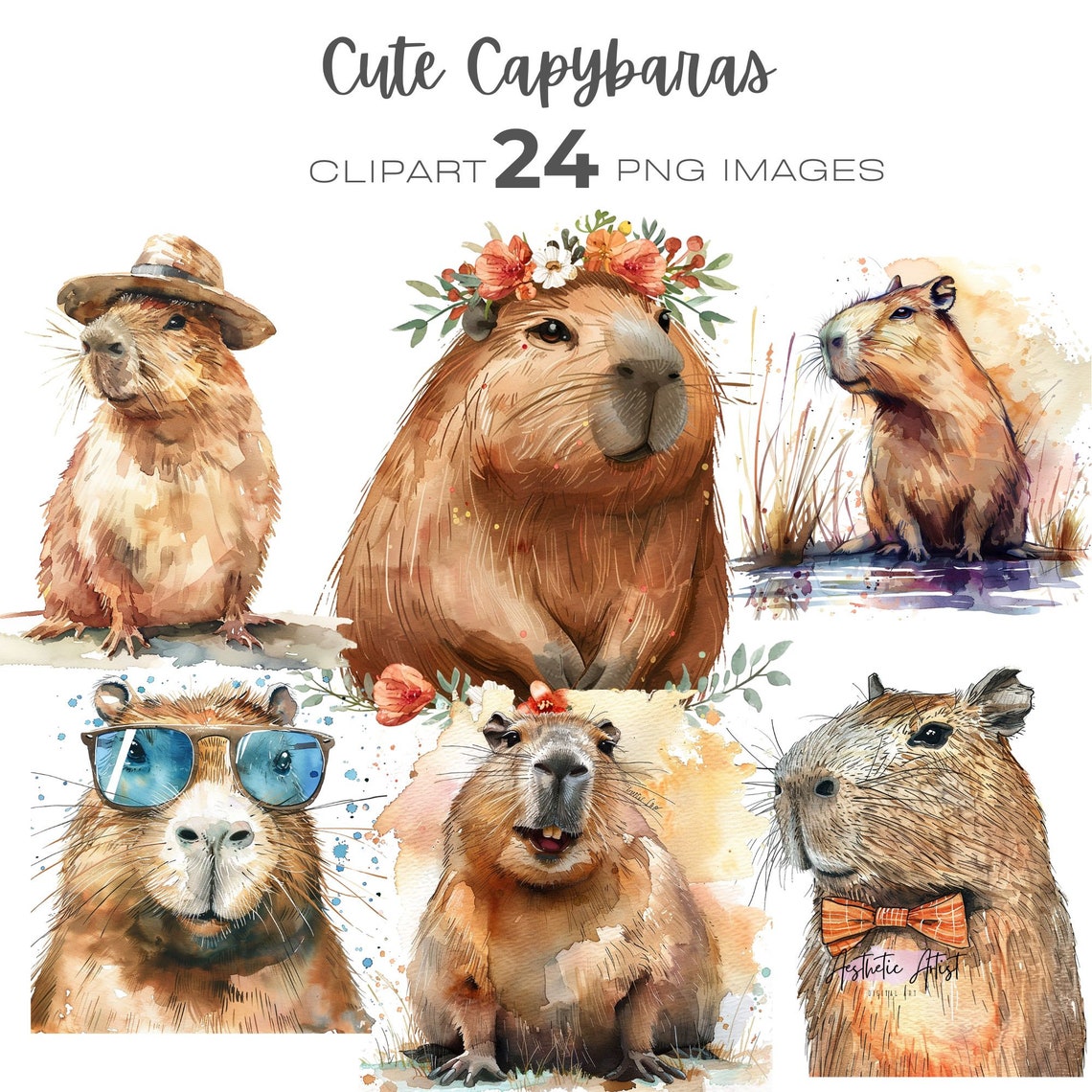 Cute Capybara Clipart, Capy Png, Animal Clip Art, Wildlife Clipart - Etsy