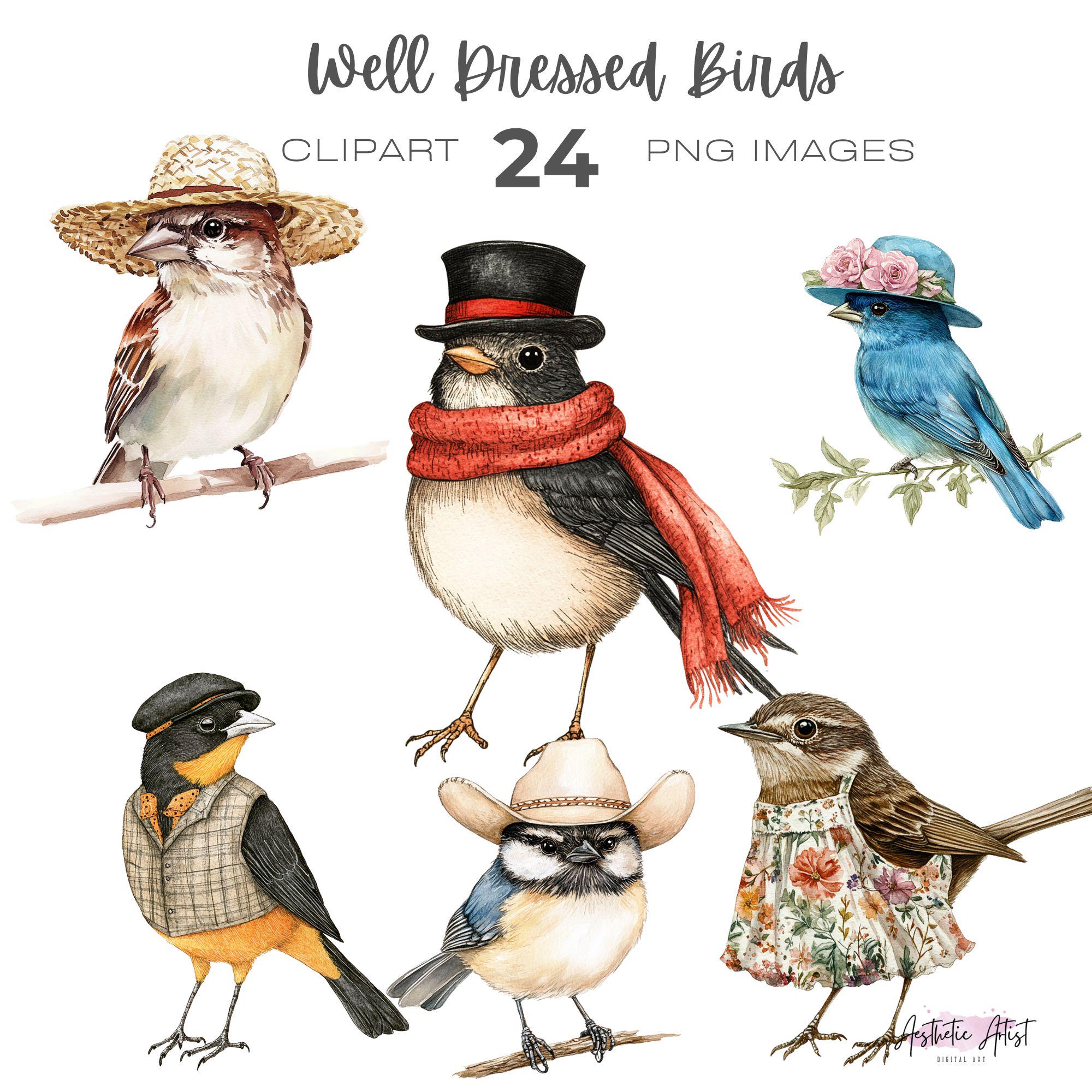 Well Dressed Birds Clipart, Farmhouse Vintage Png, Dapper Bird Clip Art ...