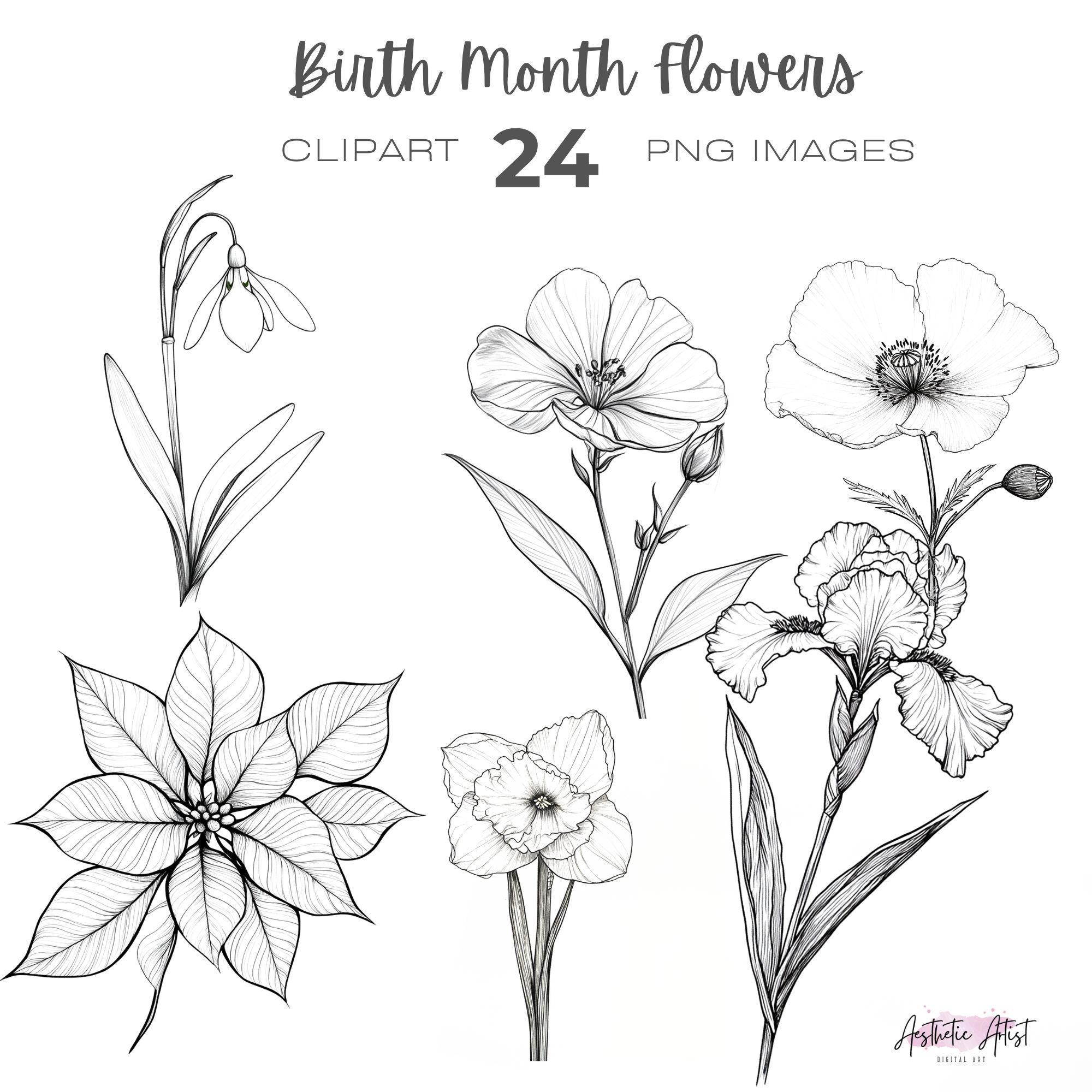 Line Drawing Birth Month Flowers Clipart Bundle, Birthday, Personalized ...