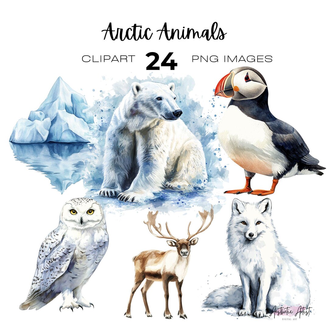 Arctic Animals Clipart, Fox Png, Tundra Clip Art, Snow Animals Clipart ...